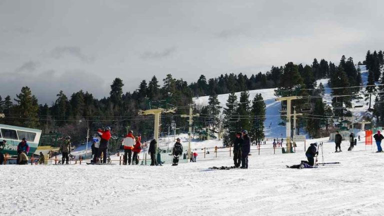 Key Difference Between Demo and Regular Skis?