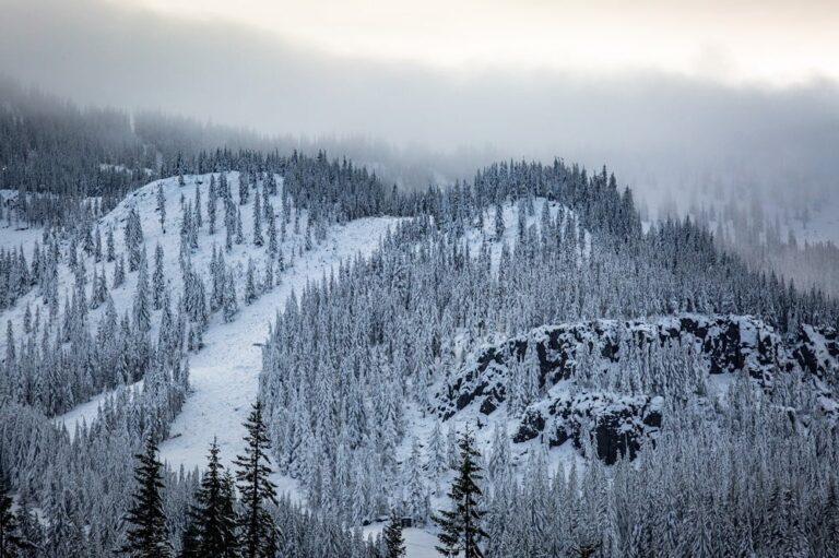What Is A Ski Bowl - EVERYTHING You Need To Know + Tips